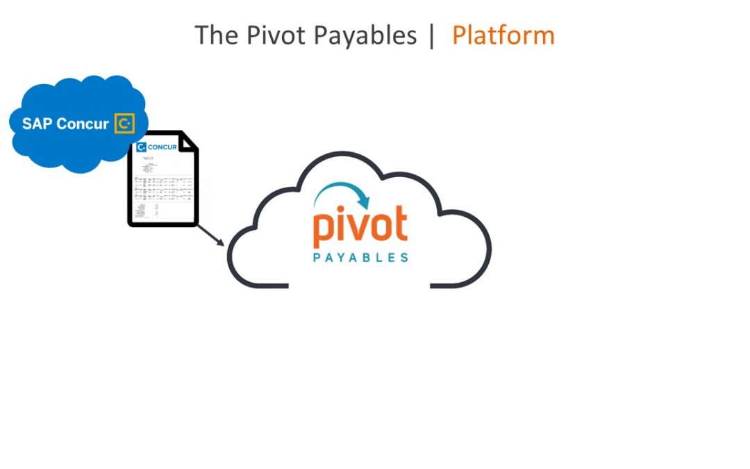 PivotPrime_Demo_Slides - Pivot Payables
