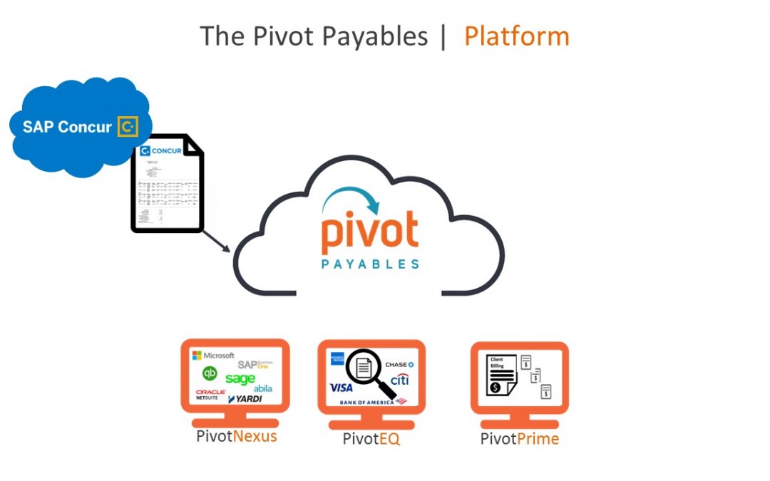 PivotPrime_Demo_Slides - Pivot Payables